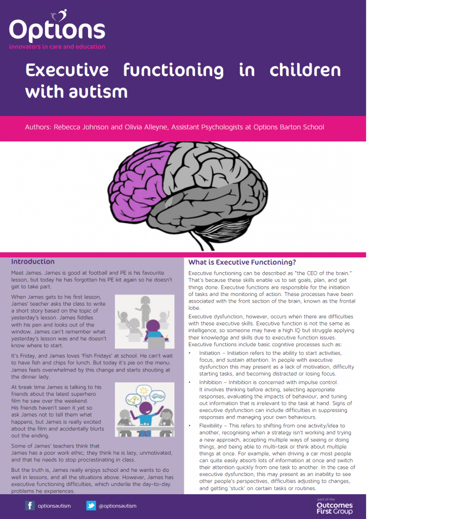 Executive functioning in children with autism - Living Autism